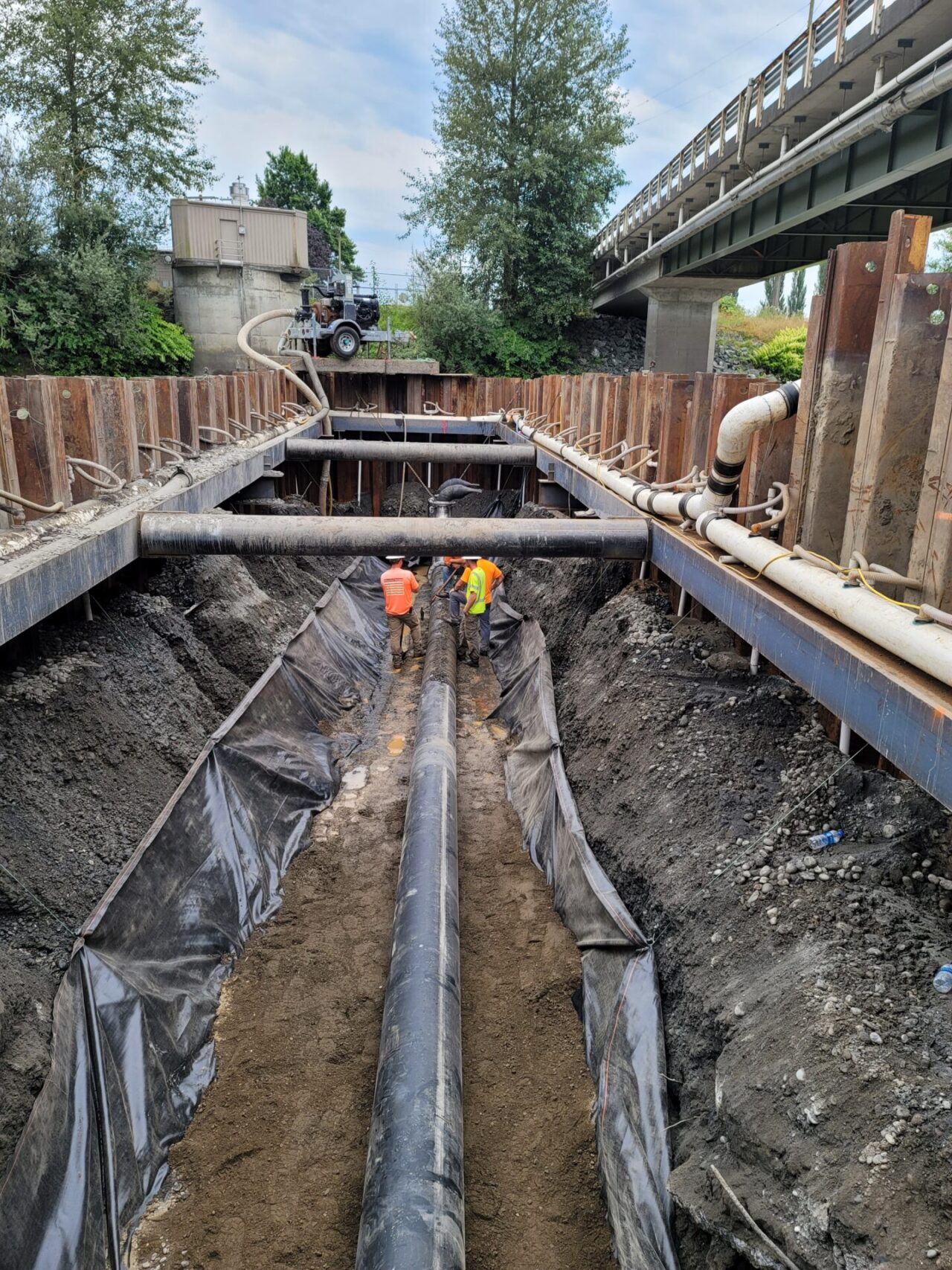 INDUSTRIAL CONDENSATE PIPELINE OUTFALL - Reichhardt & Ebe