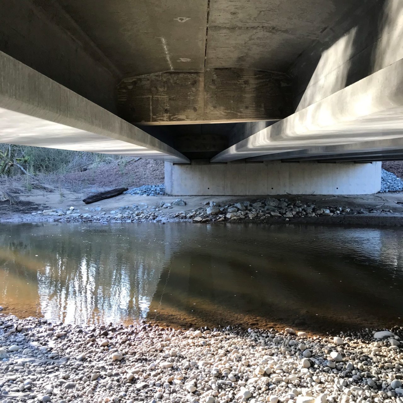 WEST BADGER RD / BERTRAND CREEK BRIDGE NO. 50 REPLACEMENT - Reichhardt ...