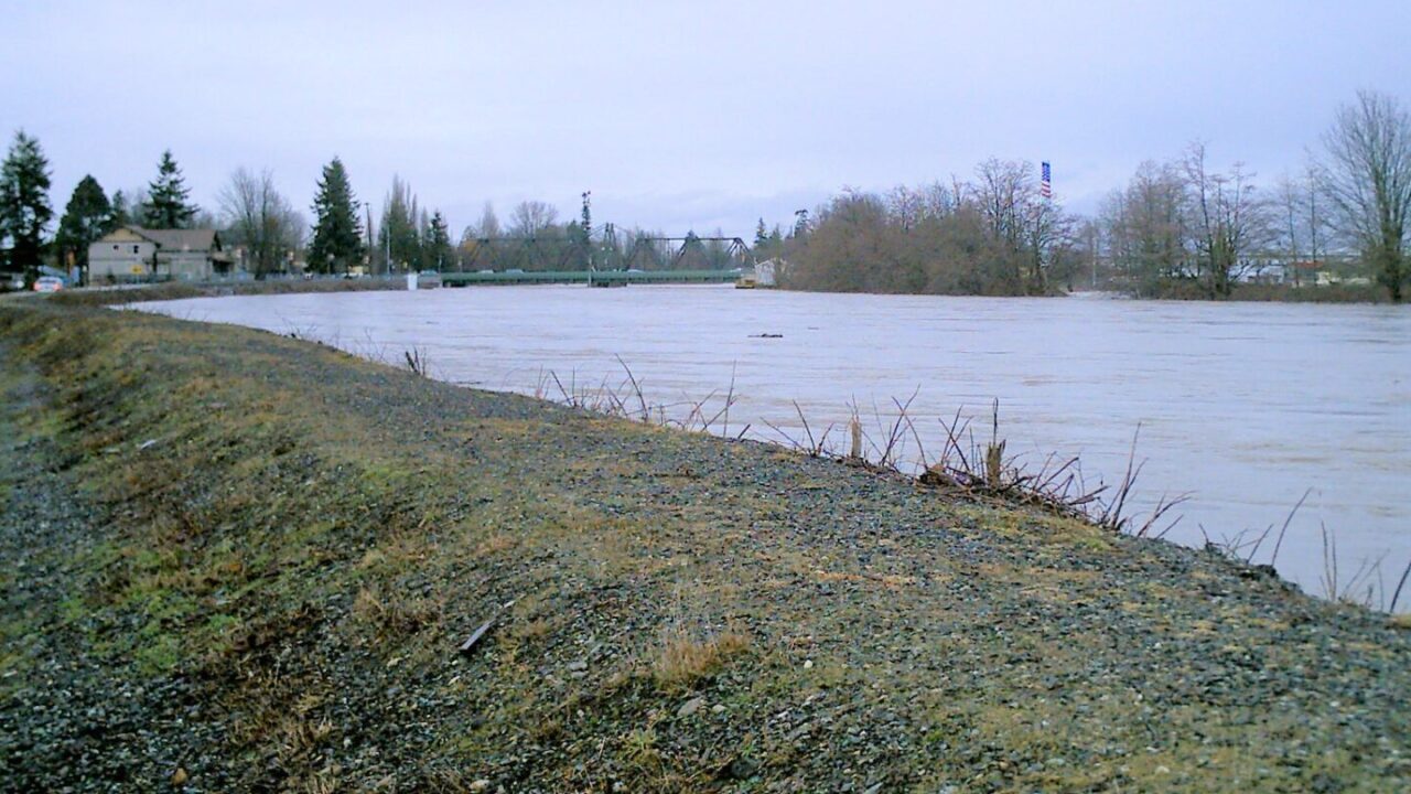 FERNDALE LEVEE IMPROVEMENTS - Reichhardt & Ebe